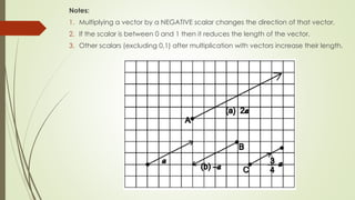 Introduction to Vectors in linear algebra | PDF