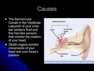 Introduction To Vestibular | PPT