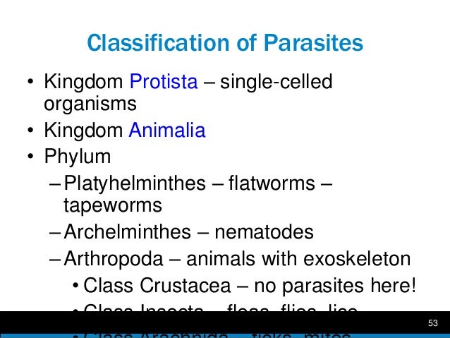 Introduction to veterinary parasitology asif