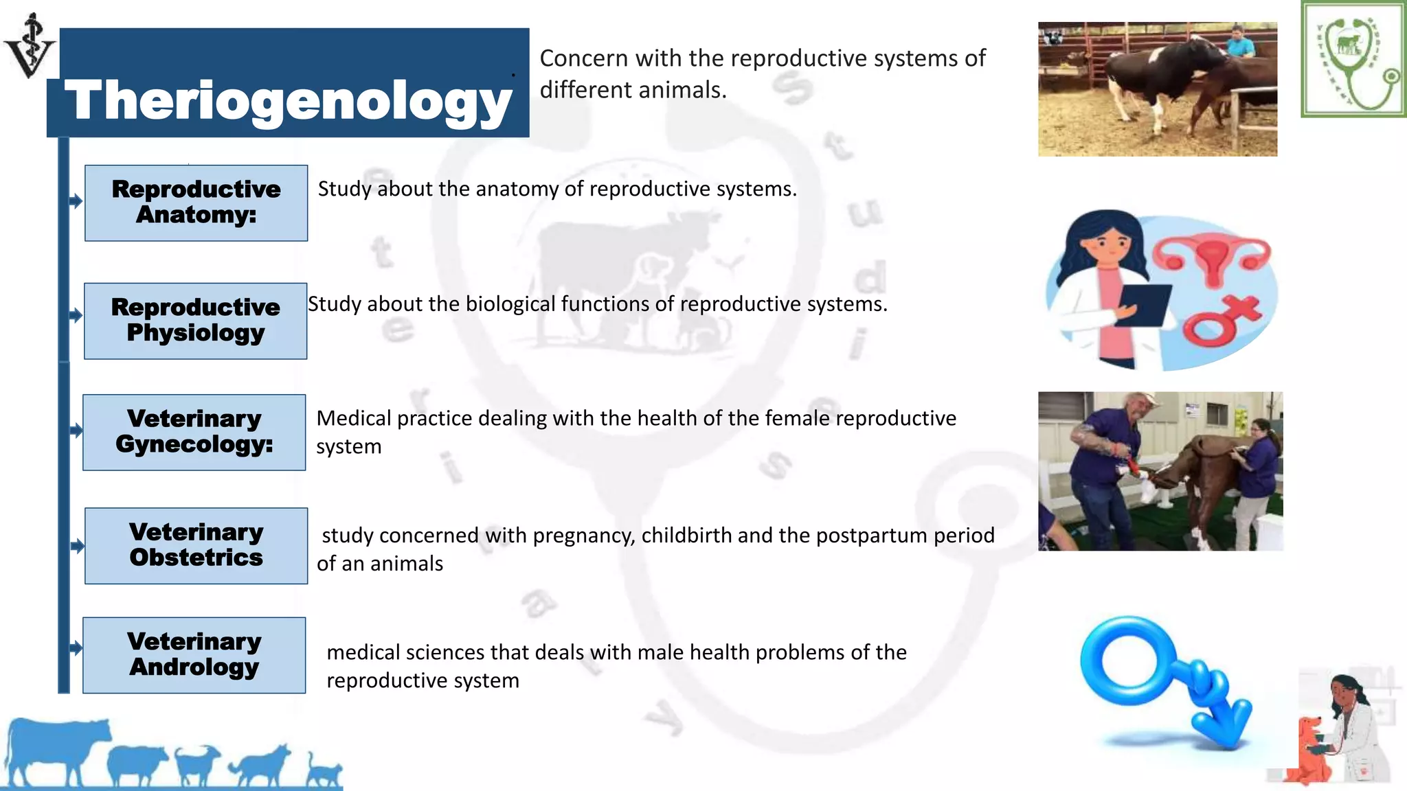 Introduction to Veterinary Sciences | PPTX