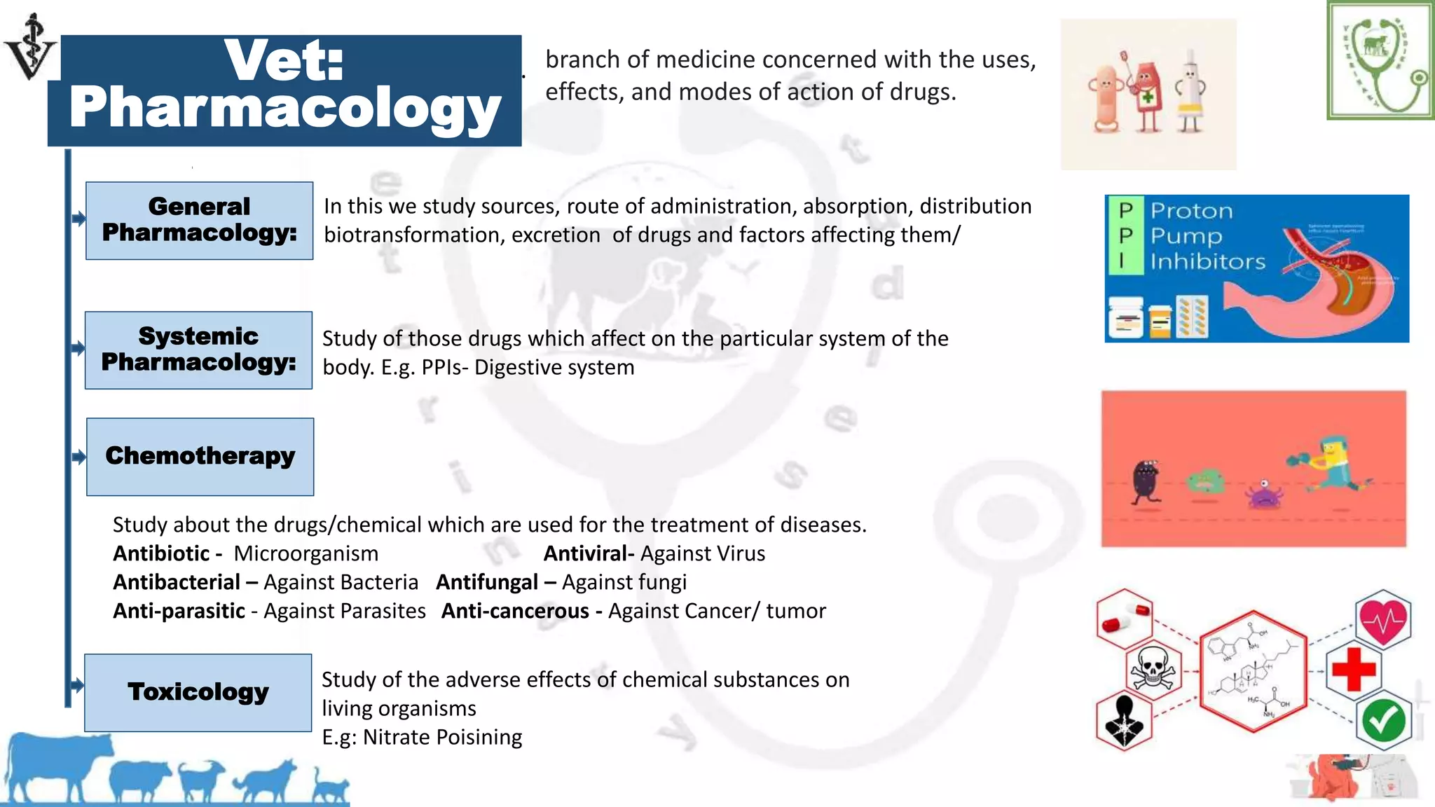 Introduction to Veterinary Sciences | PPTX