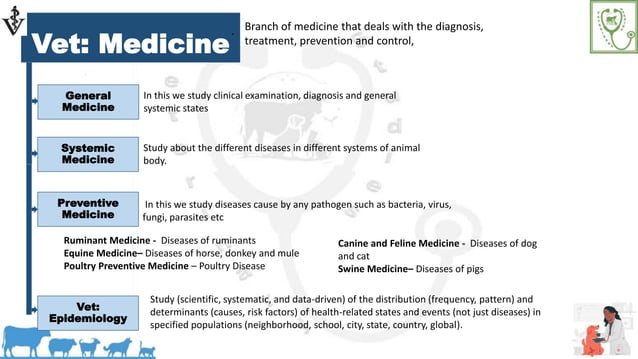 Introduction to Veterinary Sciences | PPTX