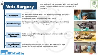 Introduction to Veterinary Sciences | PPTX