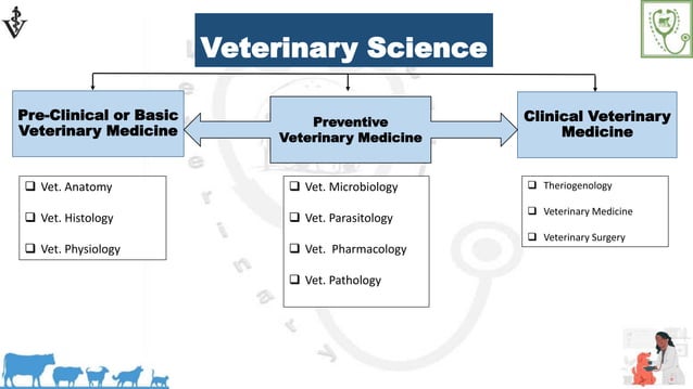Introduction to Veterinary Sciences | PPTX