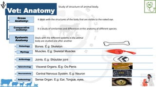 Introduction to Veterinary Sciences | PPTX