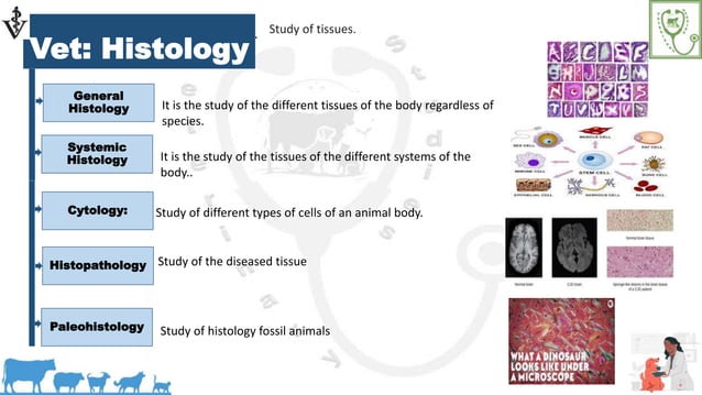 Introduction to Veterinary Sciences | PPTX