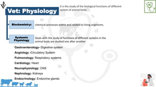 Introduction to Veterinary Sciences | PPTX