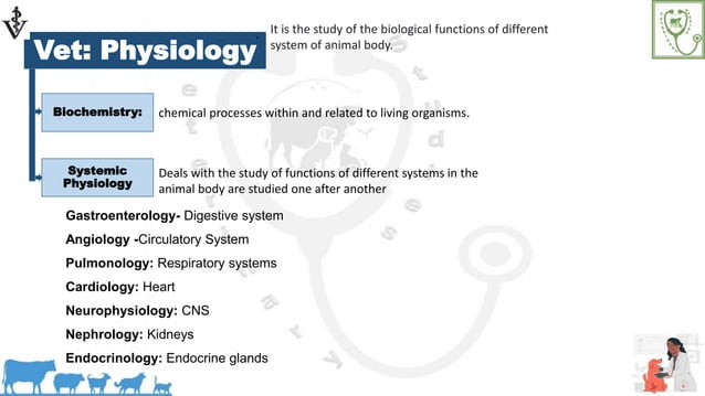 Introduction to Veterinary Sciences | PPTX