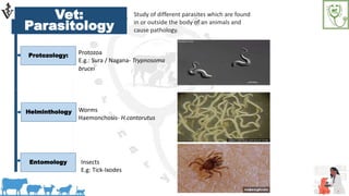 Introduction to Veterinary Sciences | PPTX