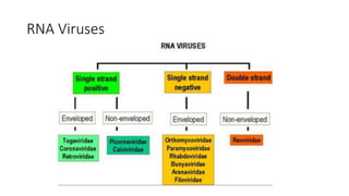 Introduction to VETERINARY VIROLOGY.pptx