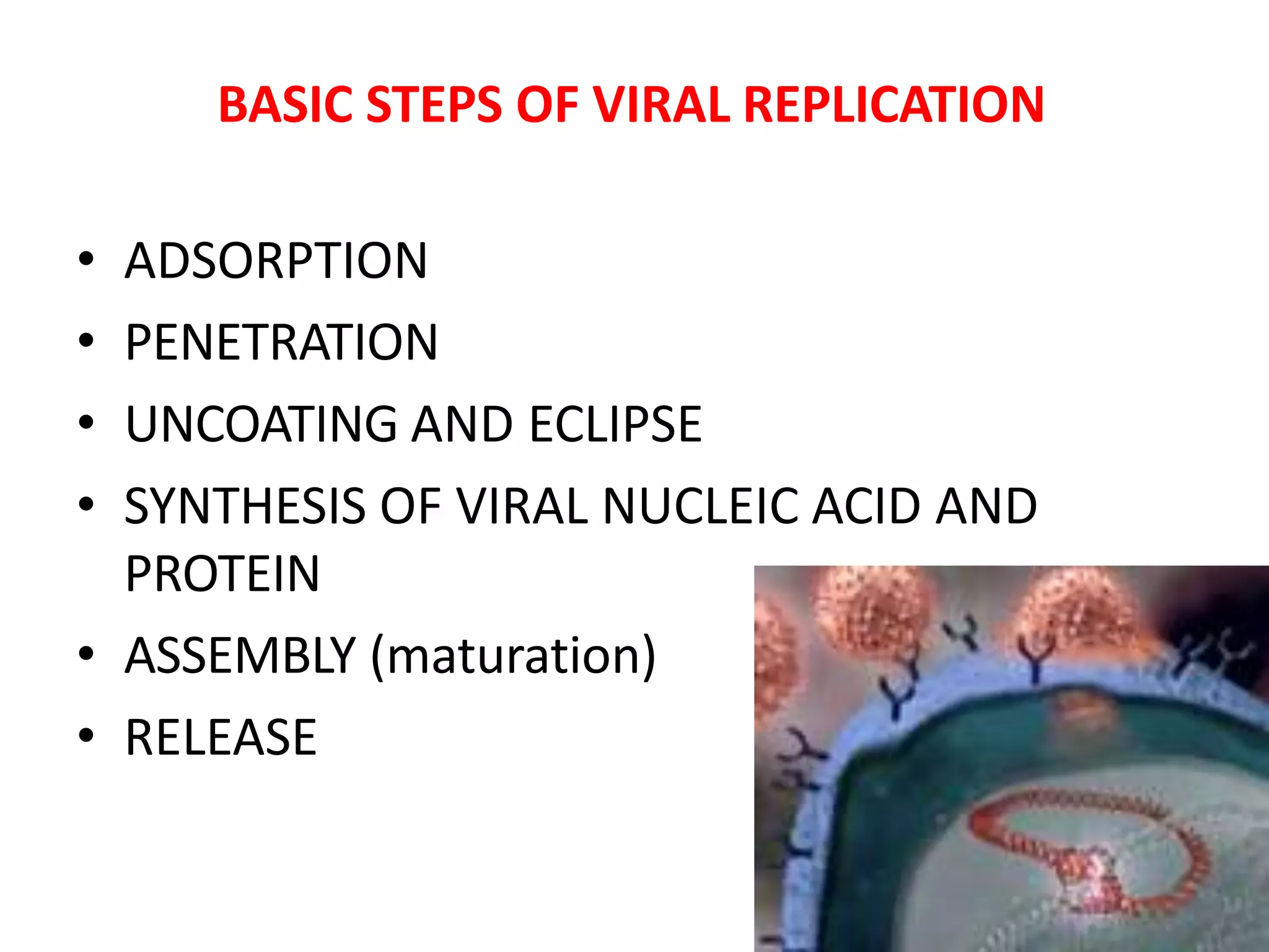 Introduction to virology for Medical students | PPTX