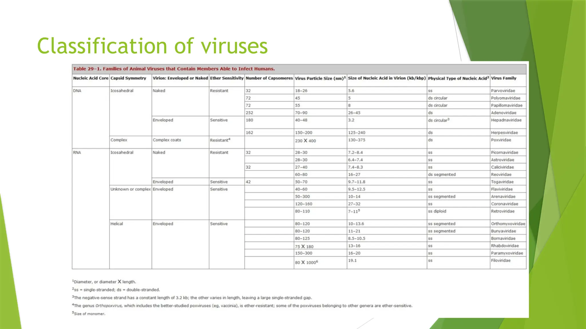 Detailed notes Introduction to virology.pptx