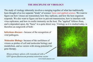 Introduction To Virus | PPT | Infectious Diseases | Diseases and Conditions