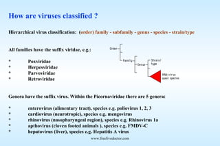 Introduction To Virus | PPT