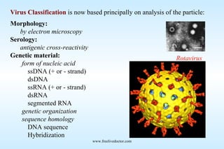 Introduction To Virus | PPT | Infectious Diseases | Diseases and Conditions