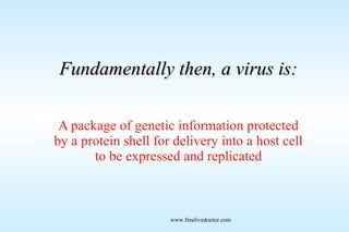 Introduction To Virus | PPT