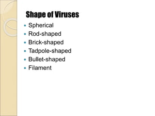 Virology for medical laboratory introduction to virus(2).ppt
