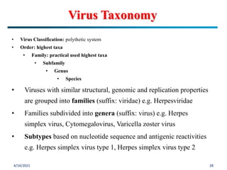 Introduction to viruses | PPTX
