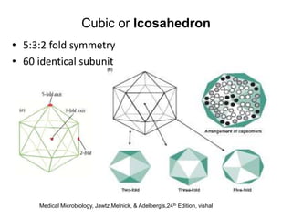 Introduction to Viruses of Medical Importance-1.ppt