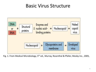 Introduction to Viruses of Medical Importance-1.ppt