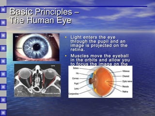 Introduction to visual inspection | PPT