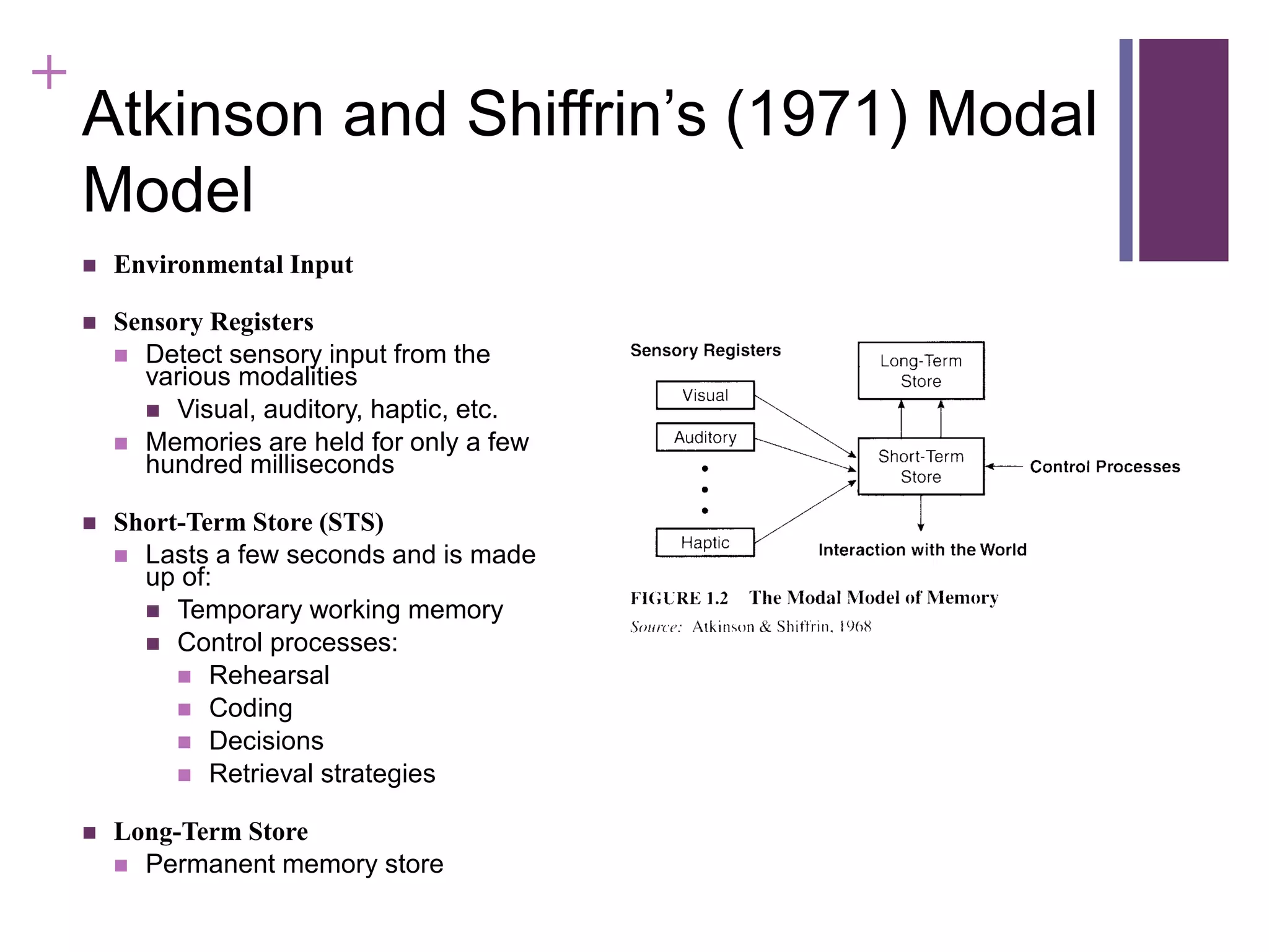 Introduction to working memory | PPT