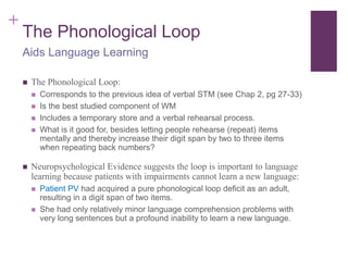 Introduction to working memory | PPT