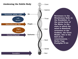 Introduction to yoga | PPTX