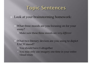 Introduction To Your Visual Essay | PDF