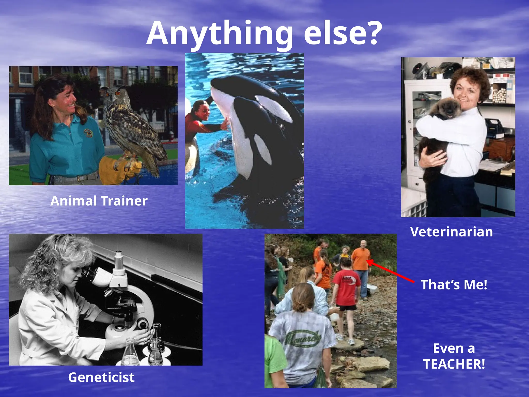 Presentation on Introduction to Zoology.pptx