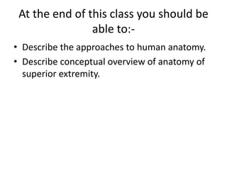 Introduction upper limb | PPTX