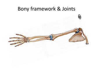 Introduction upper limb | PPT