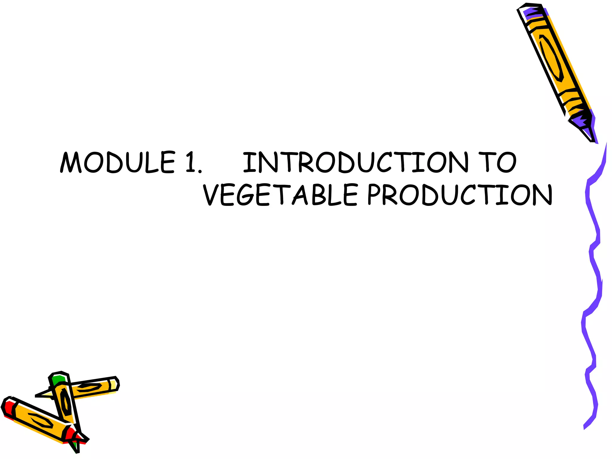 Introduction_Vegetable Farming.ppt