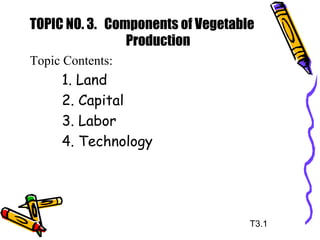 Introduction_Vegetable Farming.ppt