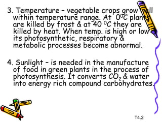 Introduction_Vegetable Farming.ppt