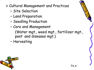 Introduction_Vegetable Farming.ppt