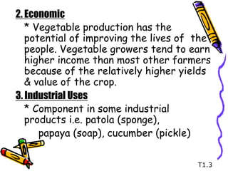 Introduction_Vegetable Farming.ppt