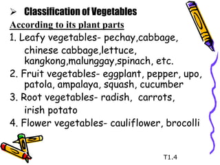 Introduction_Vegetable Farming.ppt