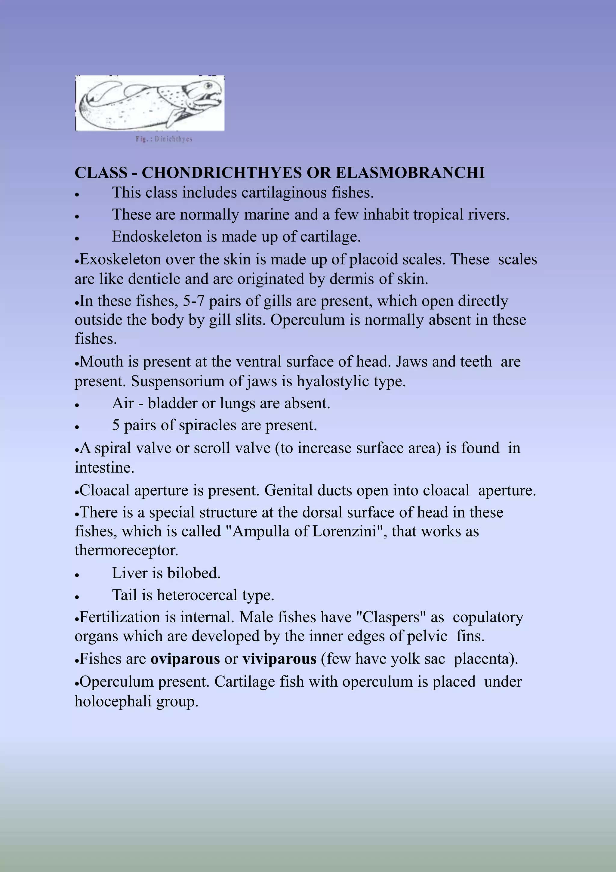 Introducton and classification chordata | PPT