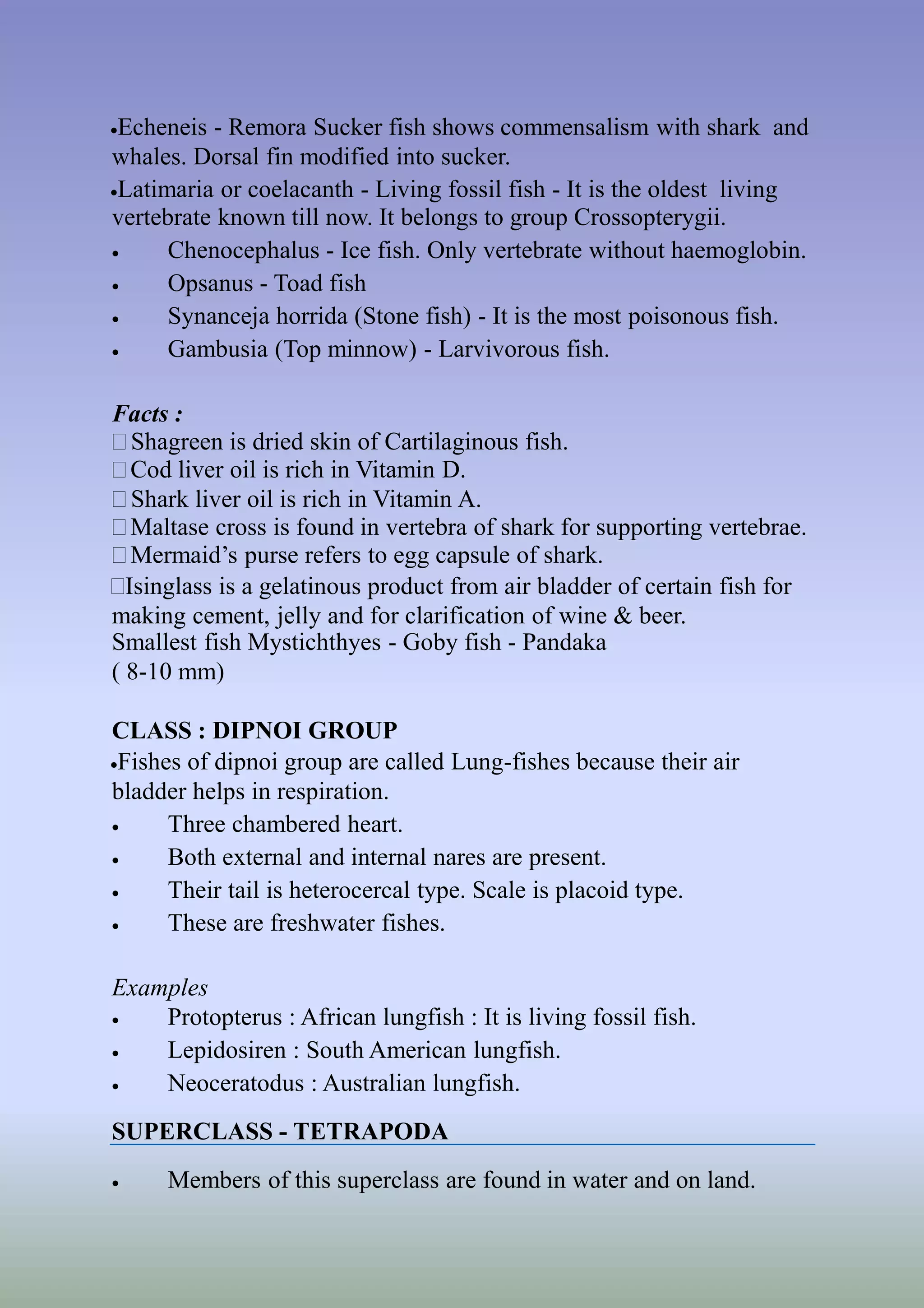 Introducton and classification chordata | PPT