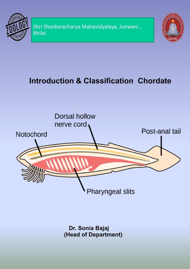 Introducton and classification chordata | PPT | Biological Sciences ...