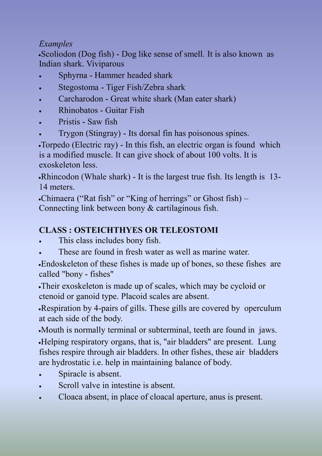 Introducton and classification chordata | PPT | Biological Sciences ...