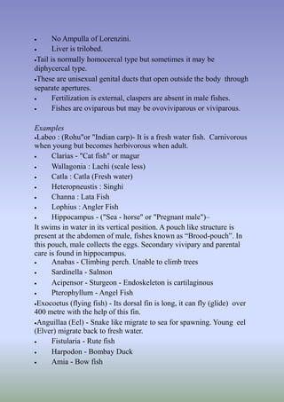 Introducton and classification chordata | PPT
