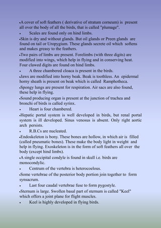 Introducton and classification chordata | PPT