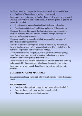 Introducton and classification chordata | PPT