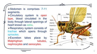 introductoryagriculturalentomology-210516065819.pdf