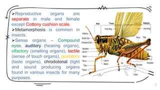 introductoryagriculturalentomology-210516065819.pdf