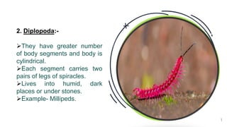 introductoryagriculturalentomology-210516065819.pdf