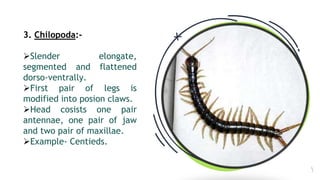 introductoryagriculturalentomology-210516065819.pdf