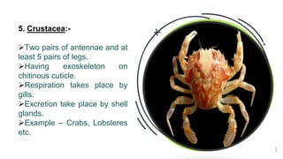 introductoryagriculturalentomology-210516065819.pdf